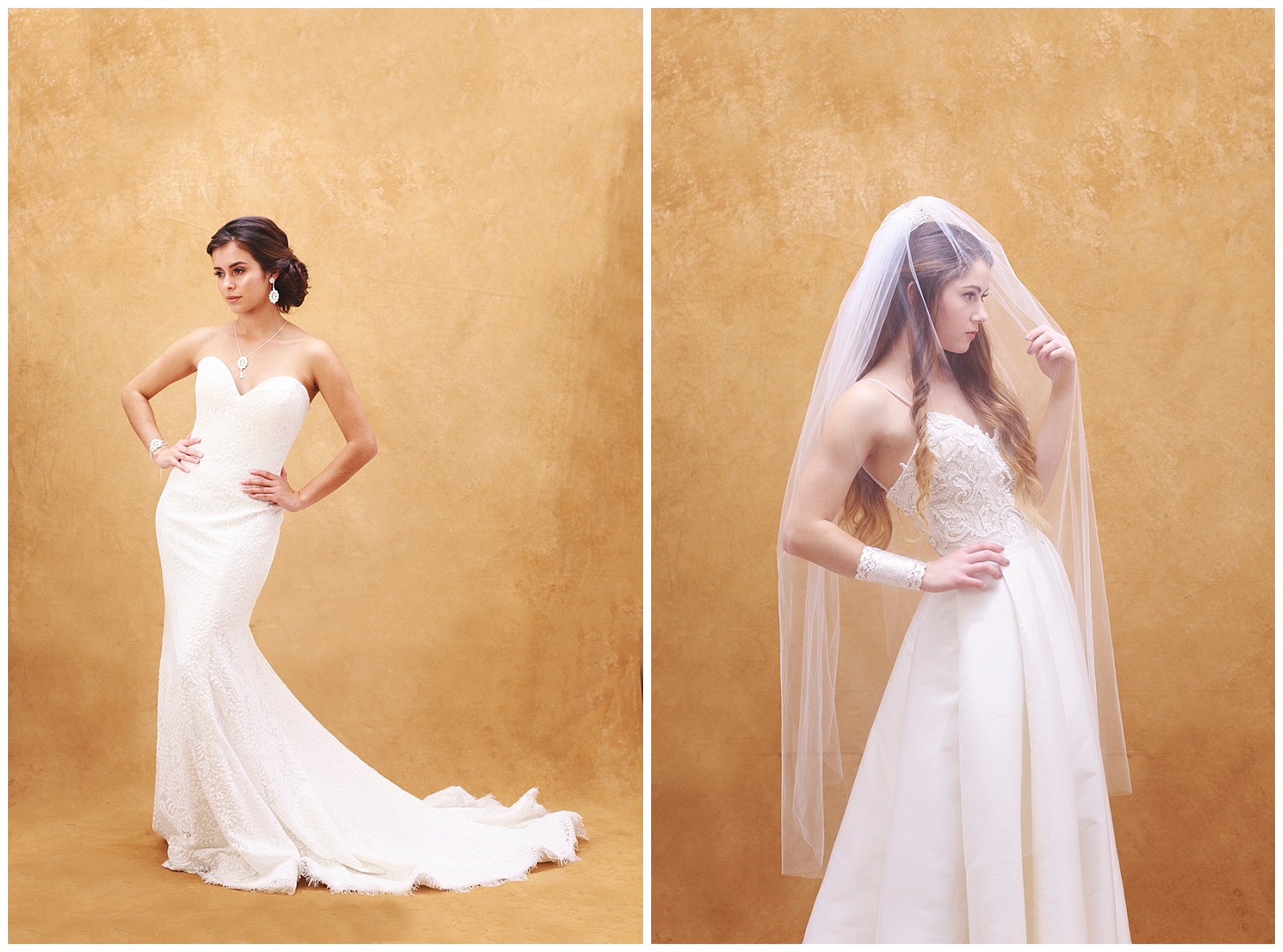 A Guide to Bridal Portrait Photography - AGS Photo Art