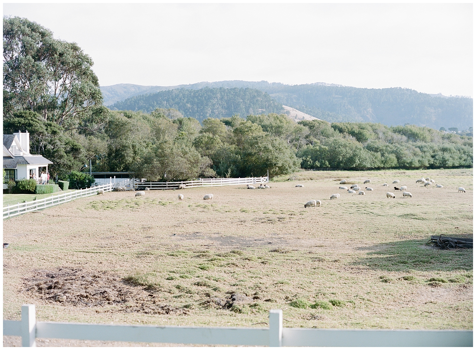 A Little Wedding With A Lot Of Love At Mission Ranch Carmel, CA ...
